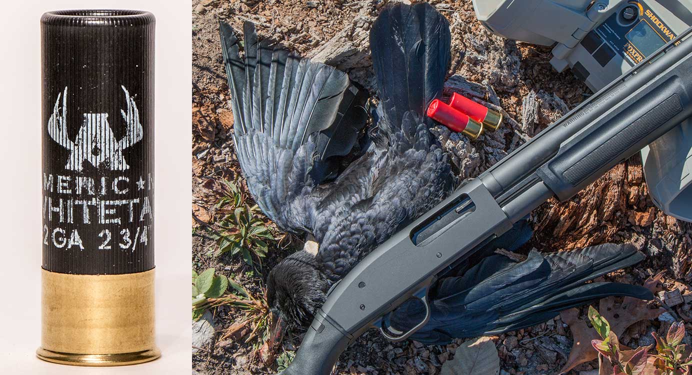 The Top 10 Essential Cartridges for the American Shooter | Outdoor Life