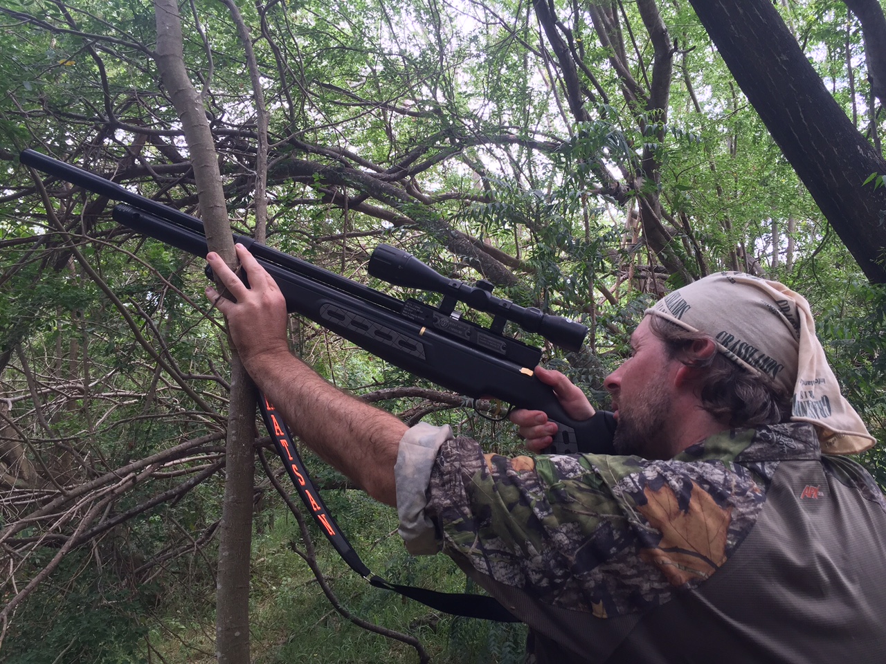 Invasive Iguanas: Hunting Puerto Rico's Giant Lizards | Outdoor Life