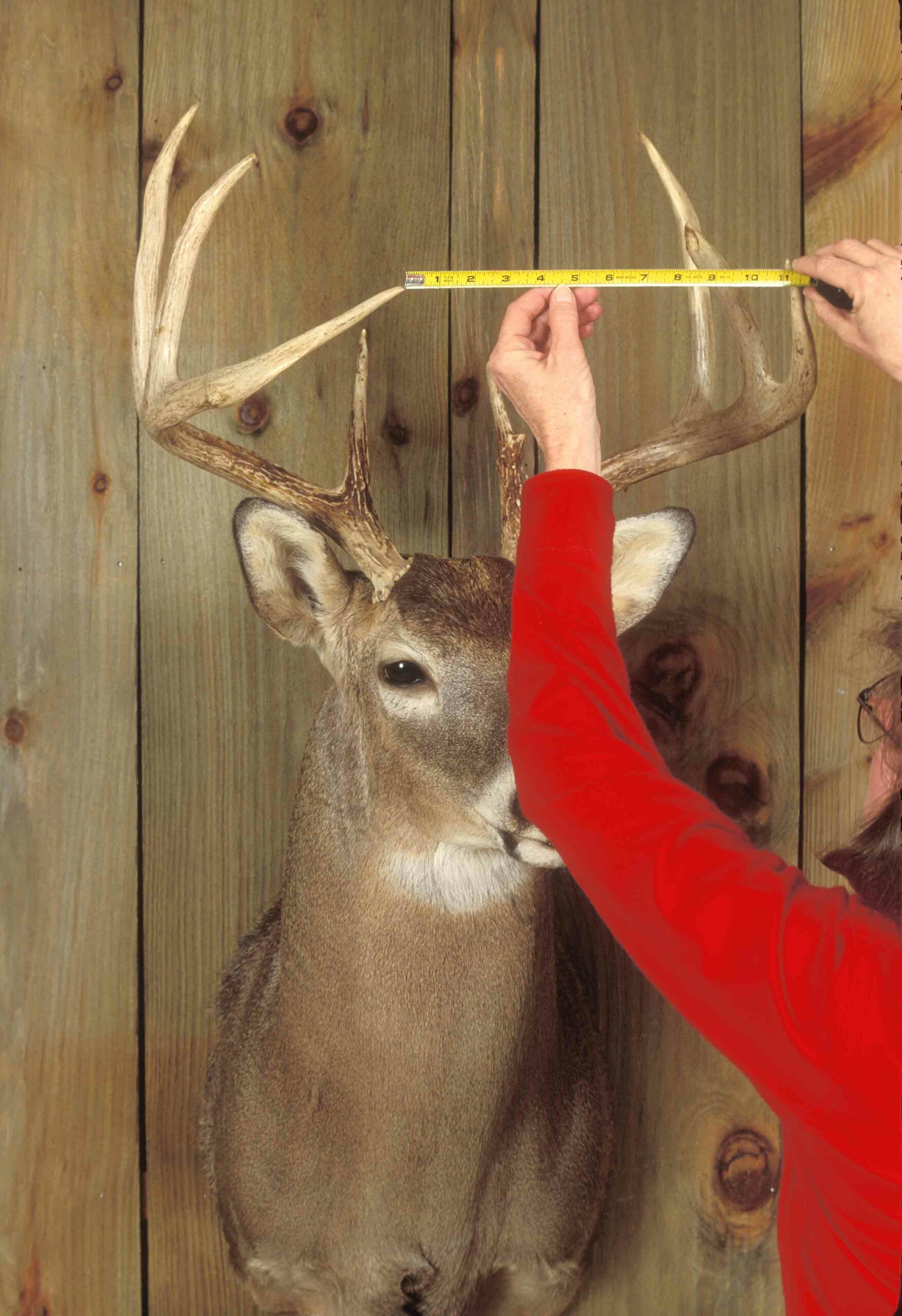 Score Your Buck | Outdoor Life