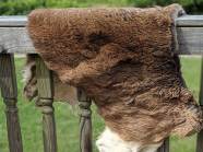How To Tan A Deer Hide The Easy Way Outdoor Life How To Tan A Deer Hide The Easy Way Outdoor Life