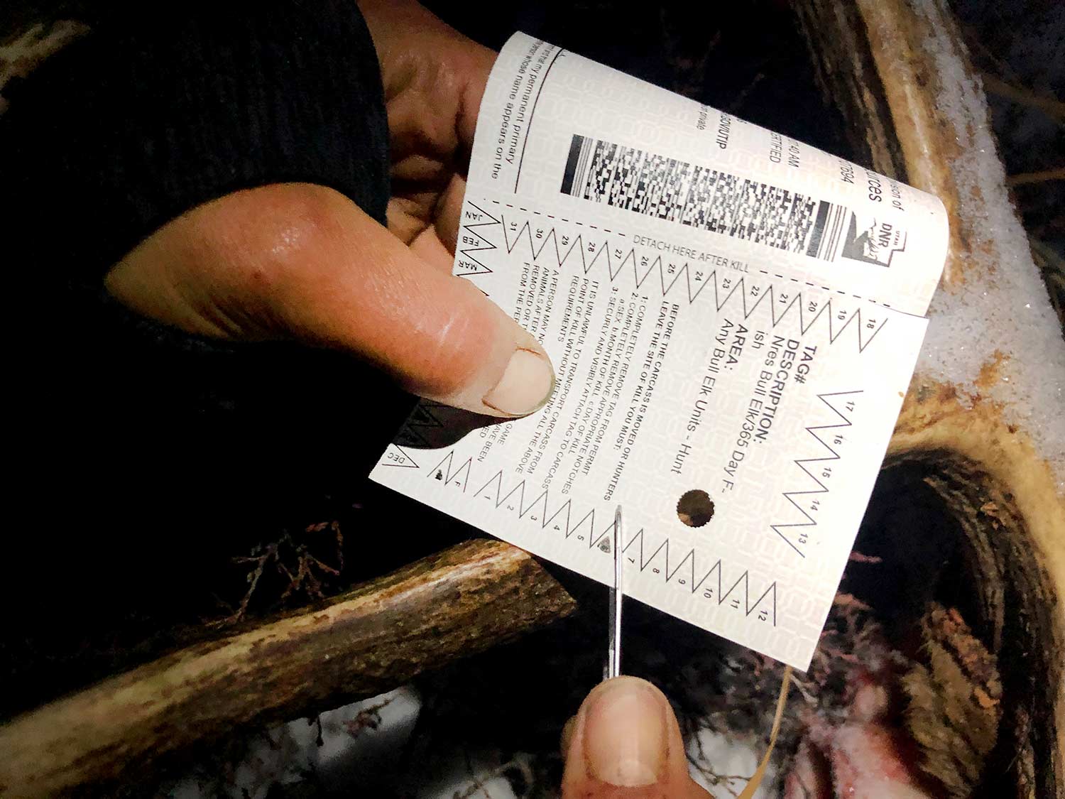 Methods to Hunt: A Step-by-Step Information for New Grownup Hunters ...