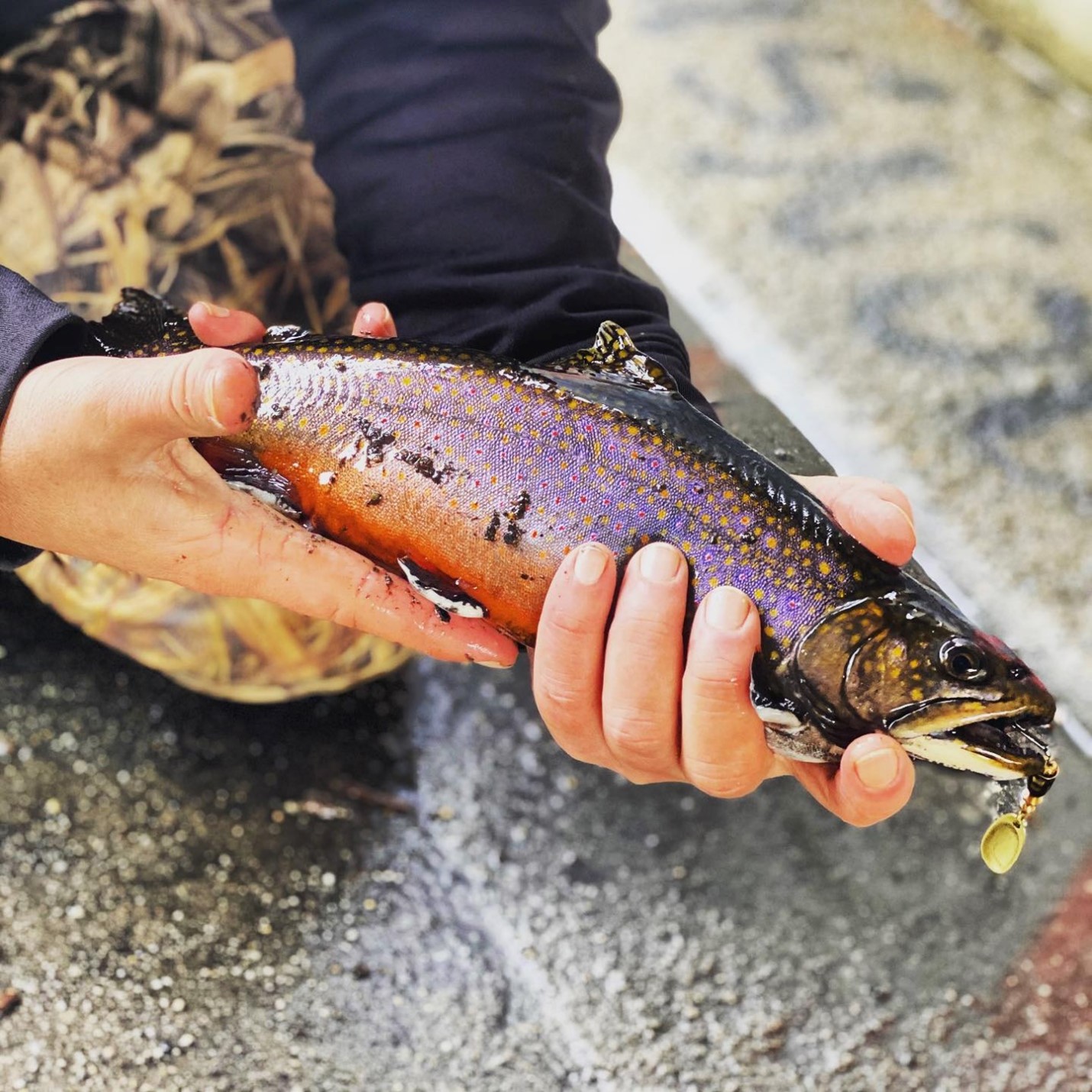 Best Trout Lures of 2023 | Outdoor Life