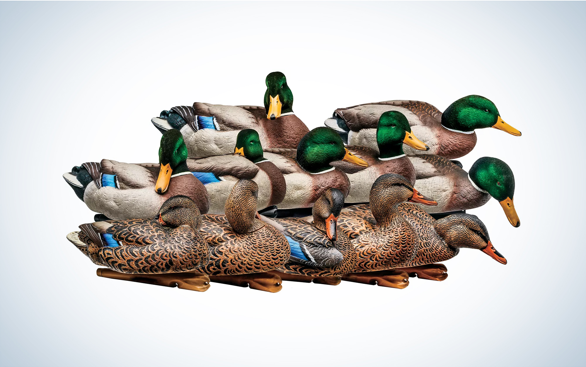 How to Hunt Ducks | Outdoor Life