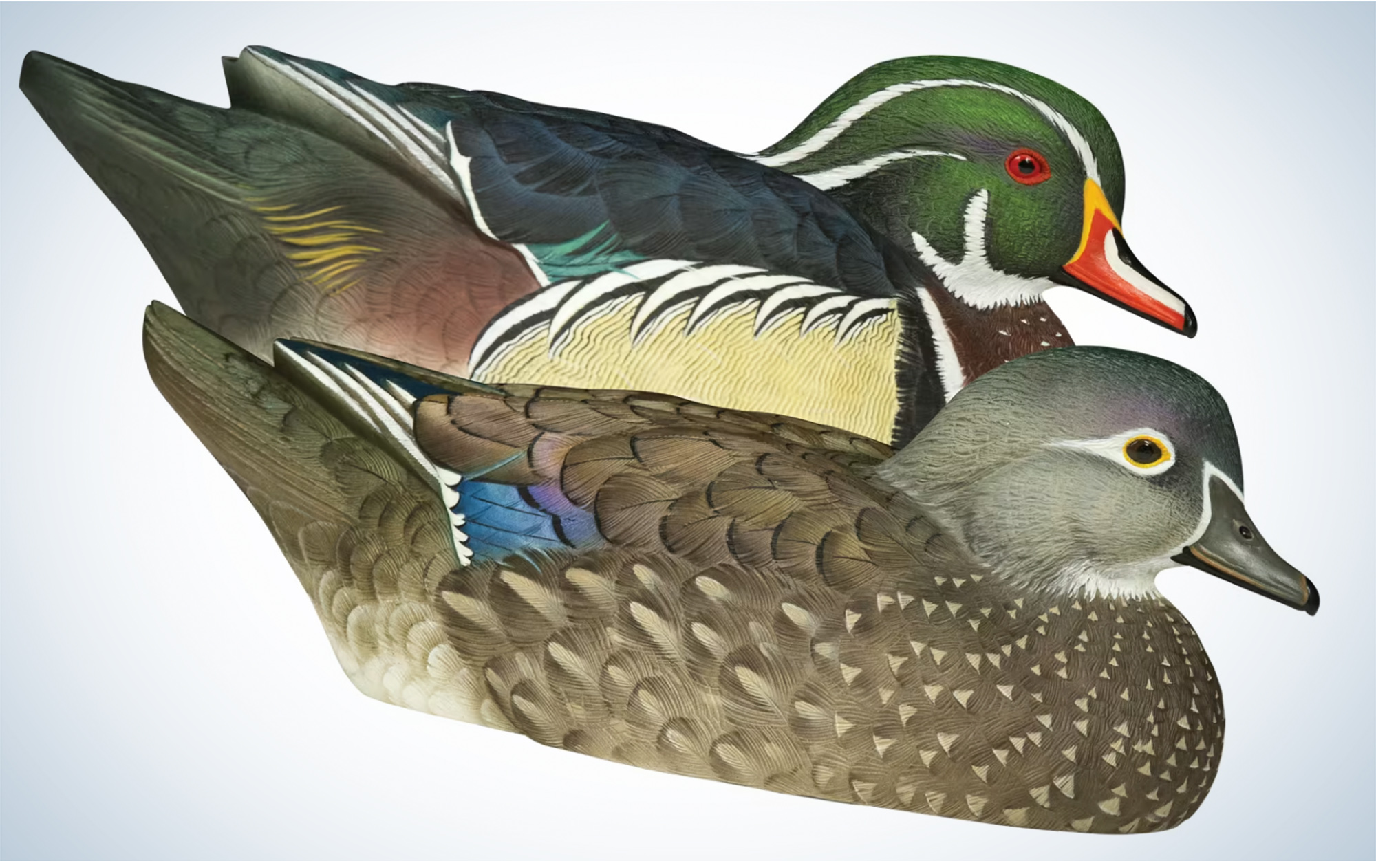 Best Duck Decoys of 2023 | Outdoor Life