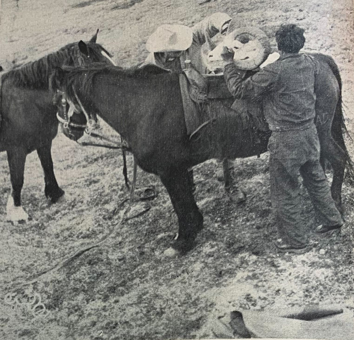 The Story of Jack O'Connor's Biggest Ram | Outdoor Life