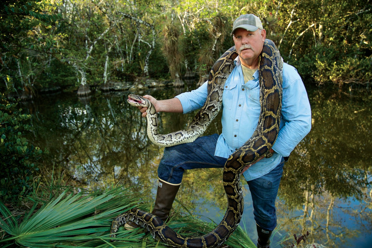 Hunting Pythons in the Everglades | Outdoor Life