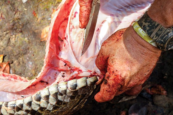 Hunting Pythons in the Everglades | Outdoor Life