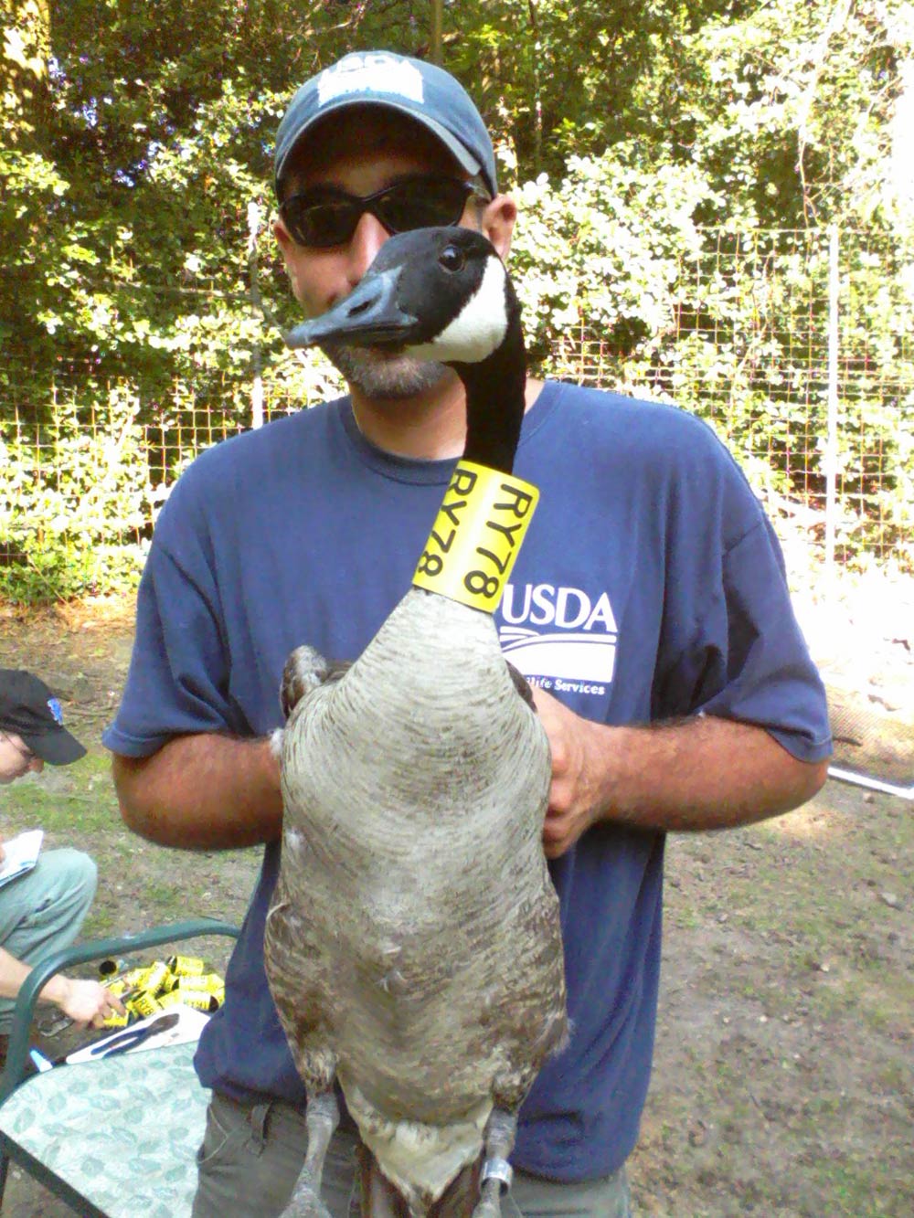 10 Facts You Didn’t Know About Bird Bands