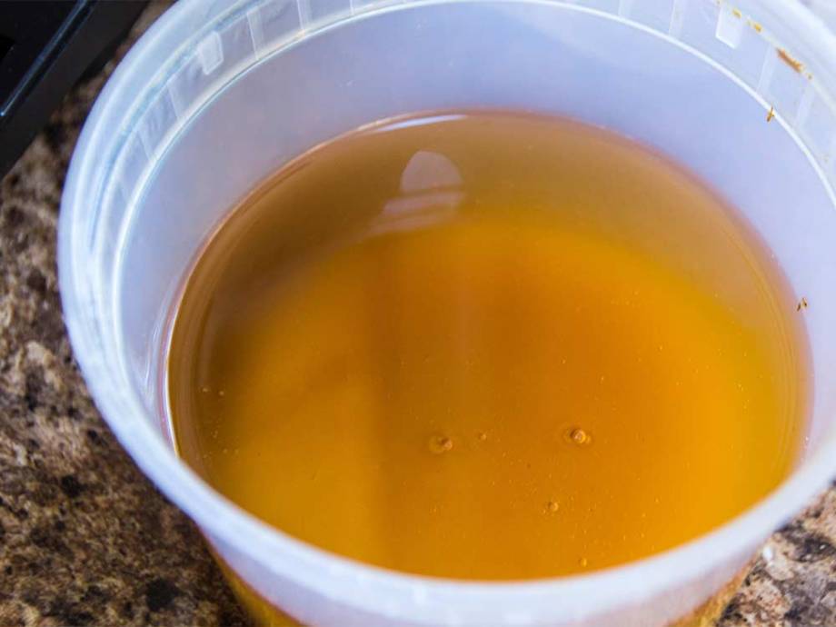 How to Cook Wild Goose