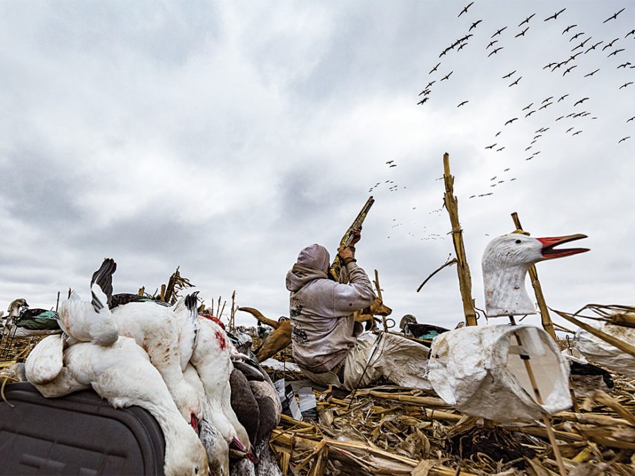New GPS Transmitter Lets Us Track Ducks Better Than Ever | Outdoor Life