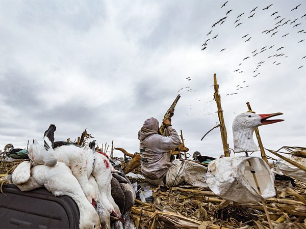 New GPS Transmitter Lets Us Track Ducks Better Than Ever | Outdoor Life