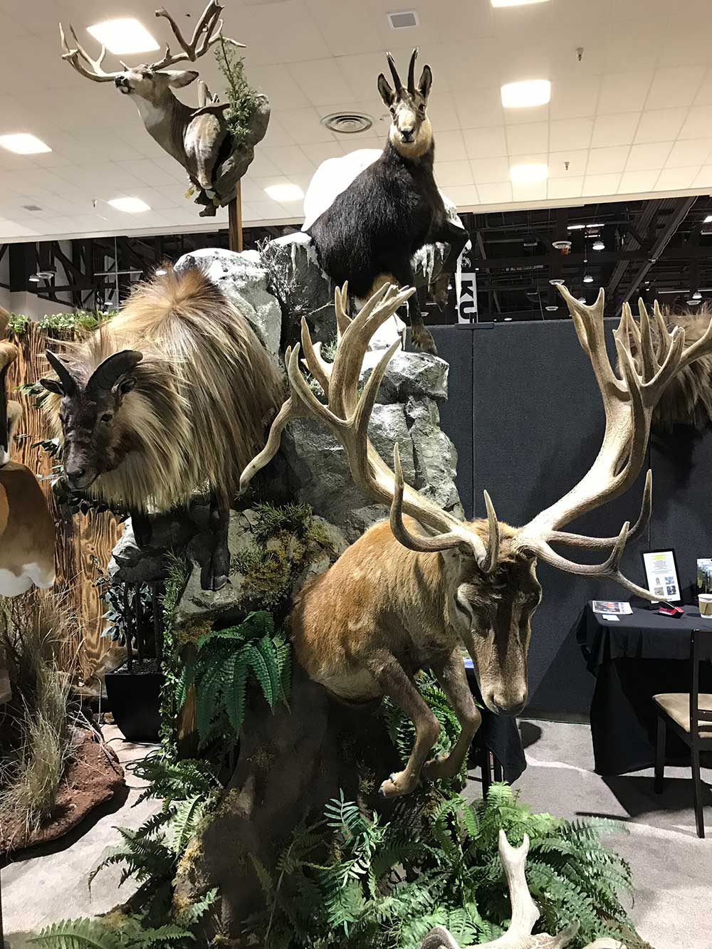 SCI Taxidermy: 22 Of The Greatest Mounts You’ve Ever Seen