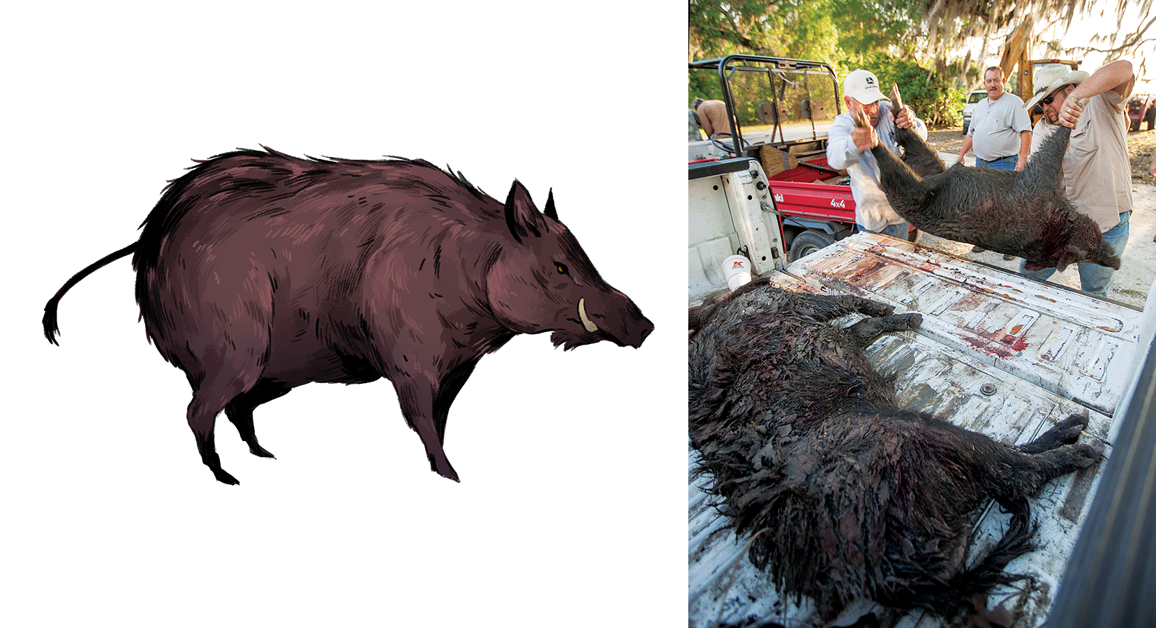 Making Meat: The 8 Best Meat Hunts in America