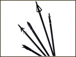 Bill Winke Archives | Outdoor Life