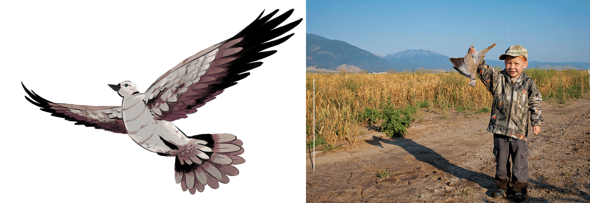 Making Meat: The 8 Best Meat Hunts in America