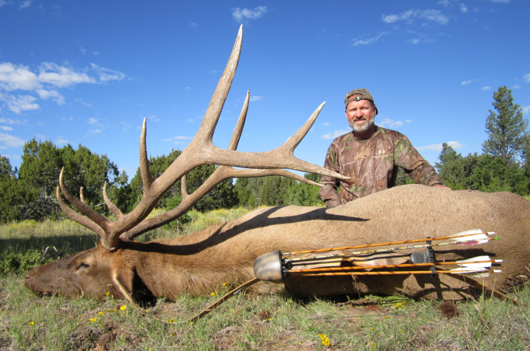 A Four-Season Guide to Patterning Big Bull Elk