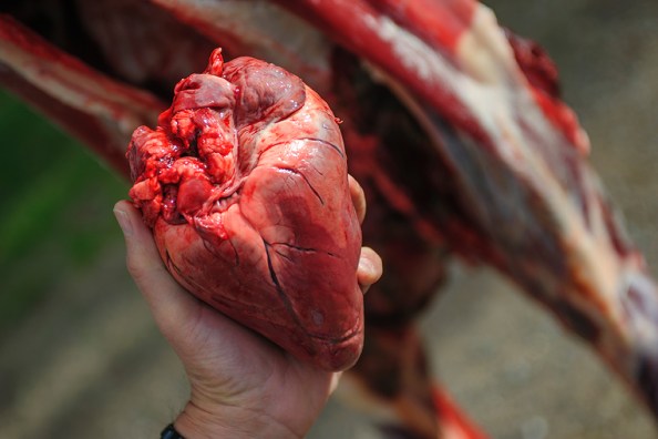 How to Trim and Prepare Deer Heart