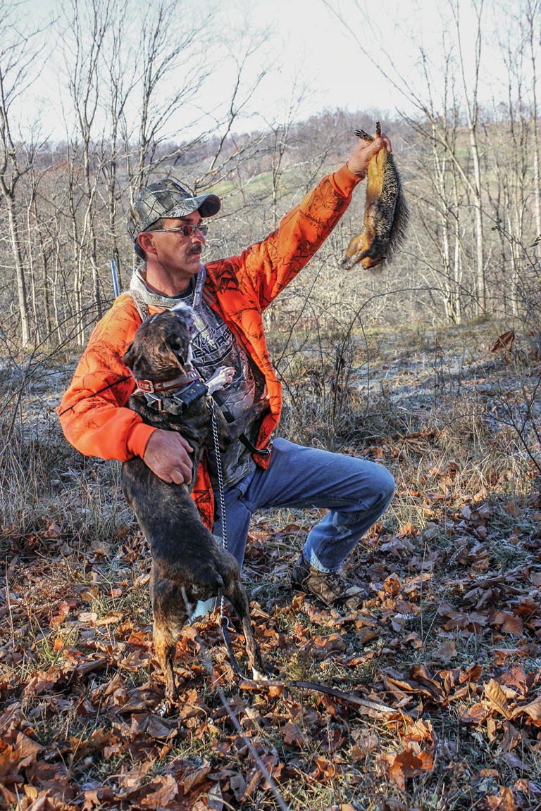 How to Train Your Own Squirrel Dog Like a Pro, Plus 4 Breeds to Consider