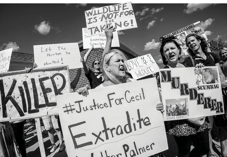 Is it Time to Rethink the North American Model of Wildlife Conservatio ...