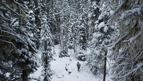 50 Great Hunting Tips