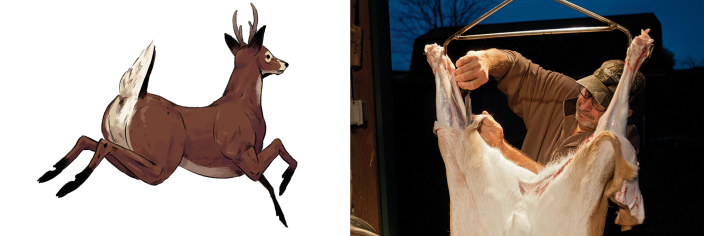 Making Meat: The 8 Best Meat Hunts in America