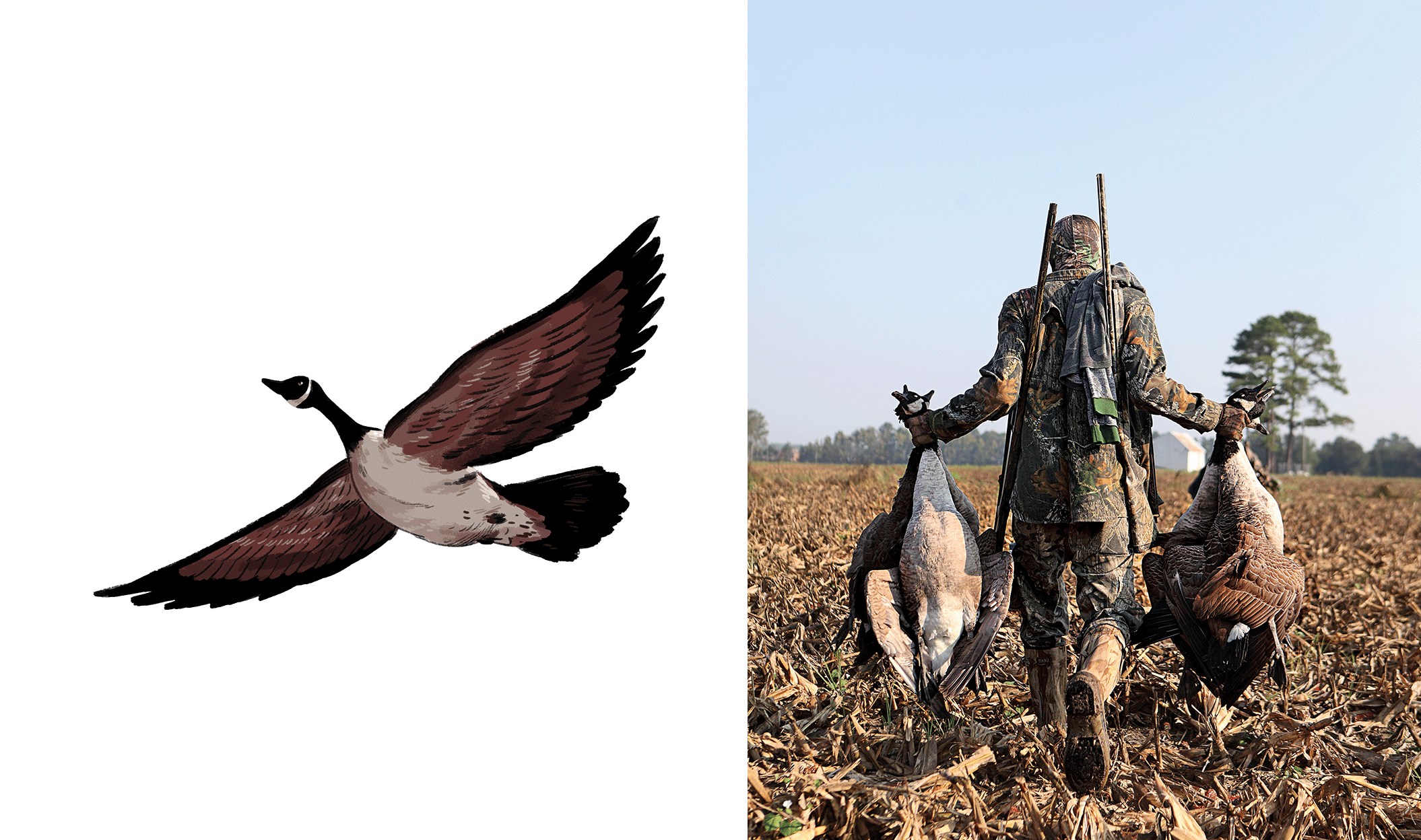 Making Meat: The 8 Best Meat Hunts in America