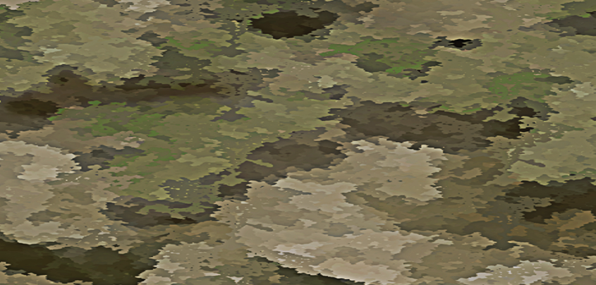 5 New Hunting Camo Patterns, Plus Our Camo Survey Results