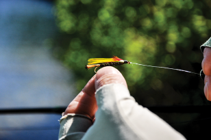 Fishing Maine's Arctic Char