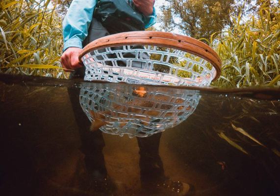 Fishing the Driftless Area: The Best Kept Secret in the Trout World