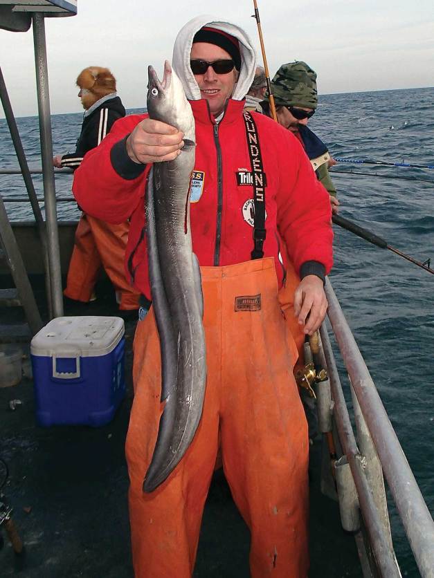 How to Catch (and Eat) Eels