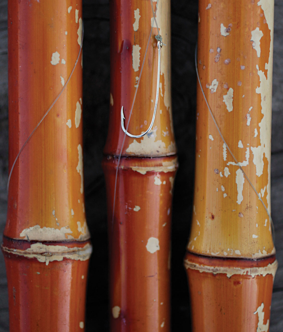 How to Fish With a Cane Pole