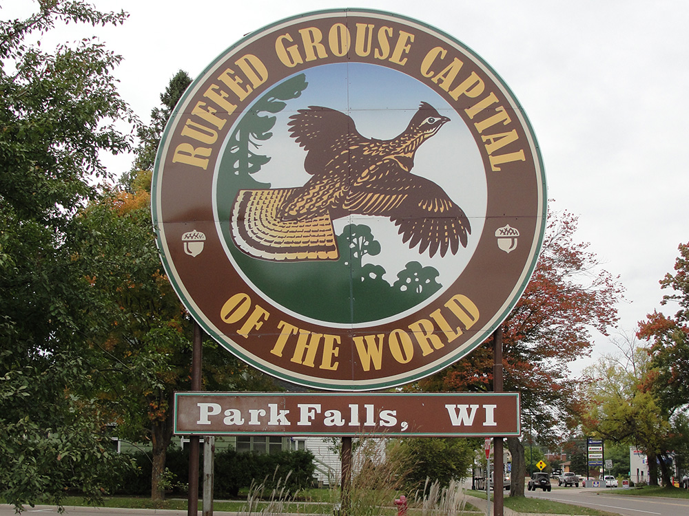 10 Next-Level Ruffed Grouse Hunting Tips