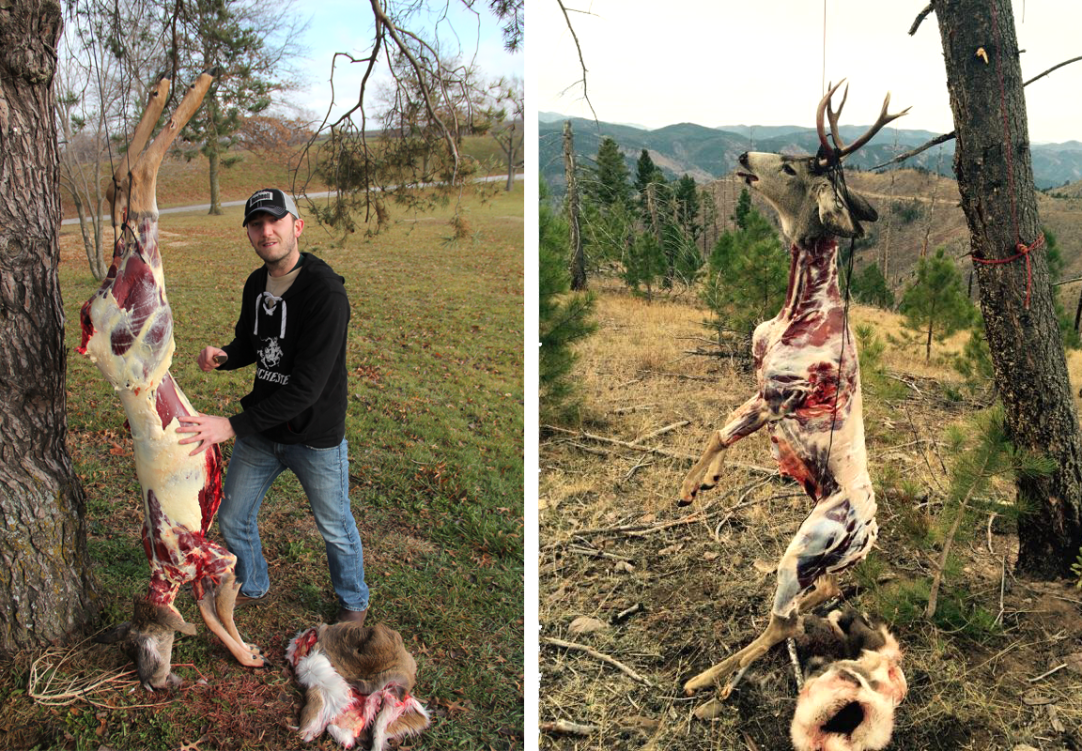 This Side Up: What's the Best Way to Hang a Deer?