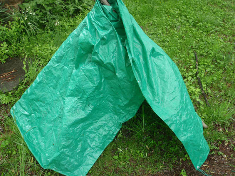 Survival Shelters: 15 Best Designs and How to Build Them