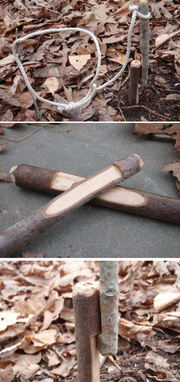 A Guide to the 15 Best Survival Traps of All Time