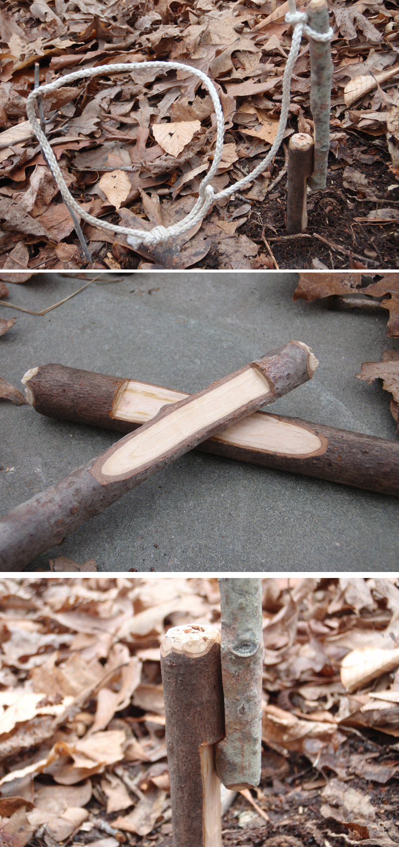 A Guide to the 15 Best Survival Traps of All Time