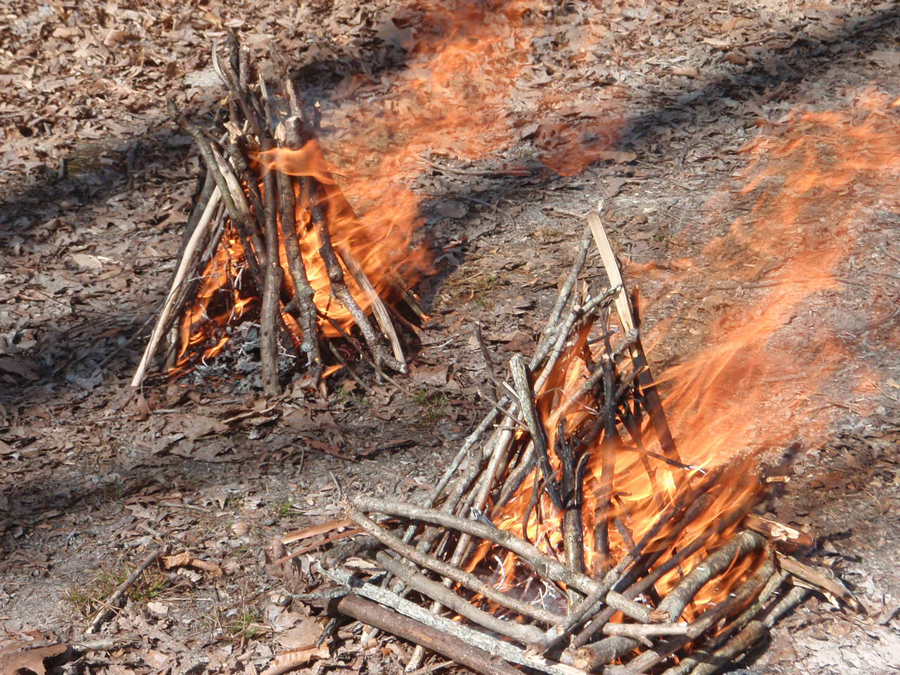 11 Ways to Signal for Help