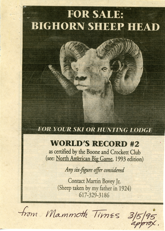 World Record Sheep: The Biggest Boone & Crockett Bighorn and Stone's Sheep