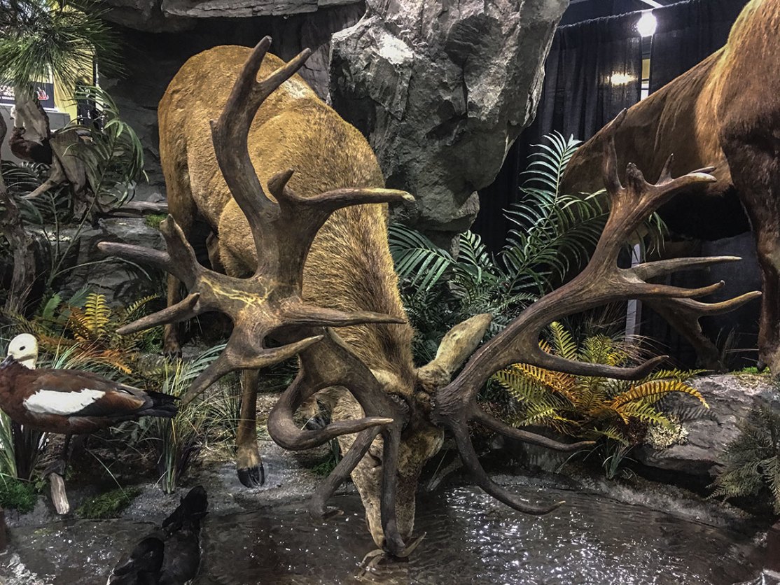 The Tlingit Legend of the Kóoshdaa Káa | Outdoor Life