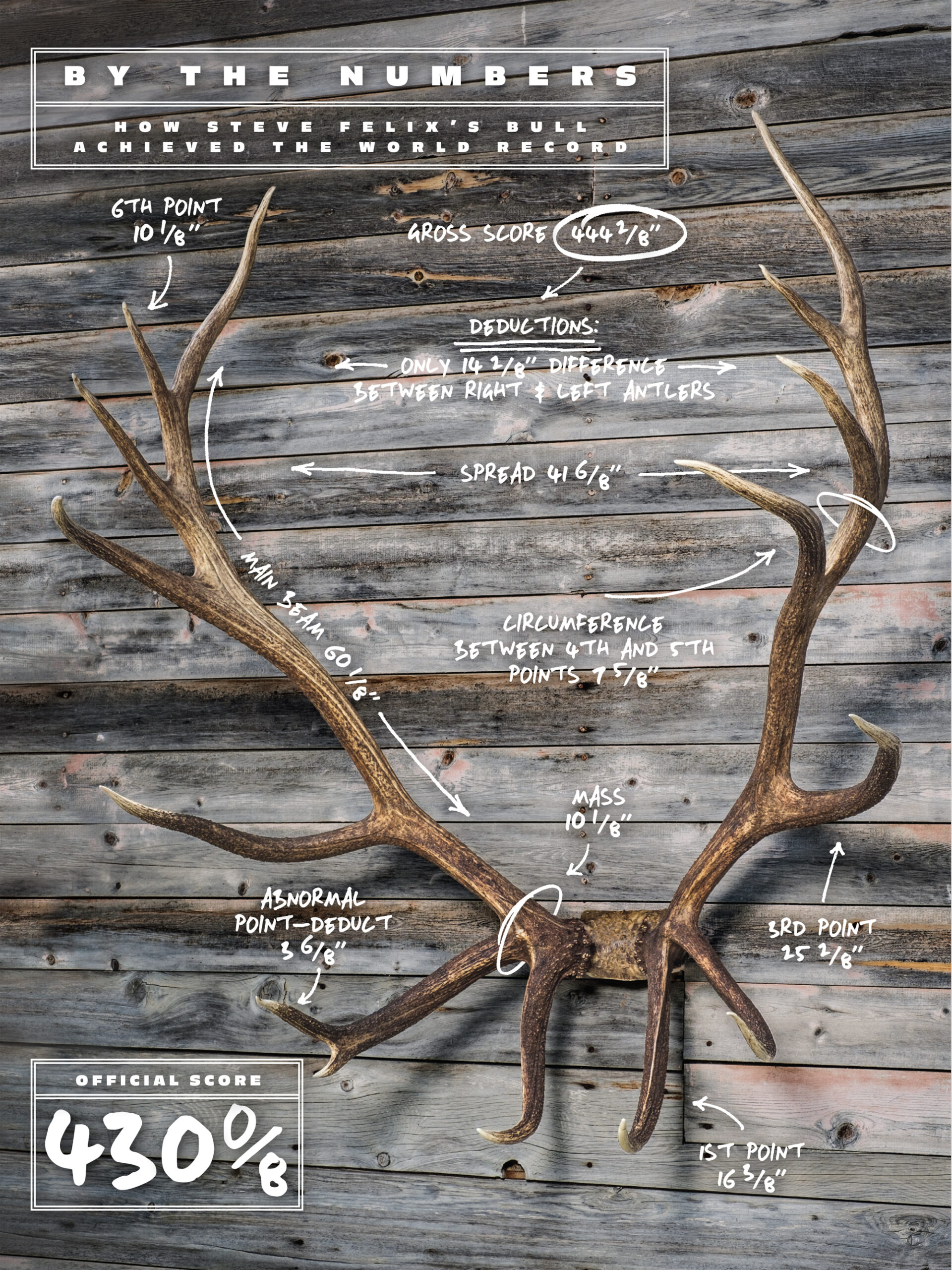 The New World-Record Archery Elk