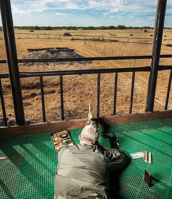 Building the Ultimate Long-Range 308 Sniper Rifle | Guns