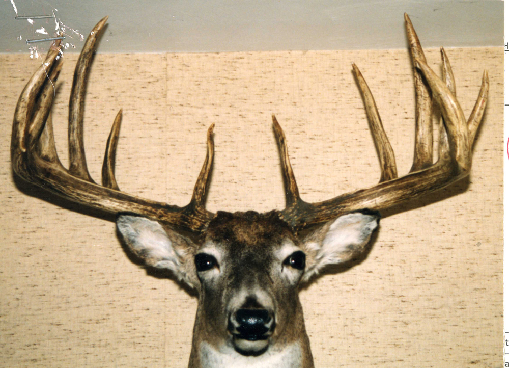 The Top 40 Typical and Nontypical Whitetails of All Time