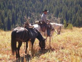 19 Ways to Transport a Whitetail Deer