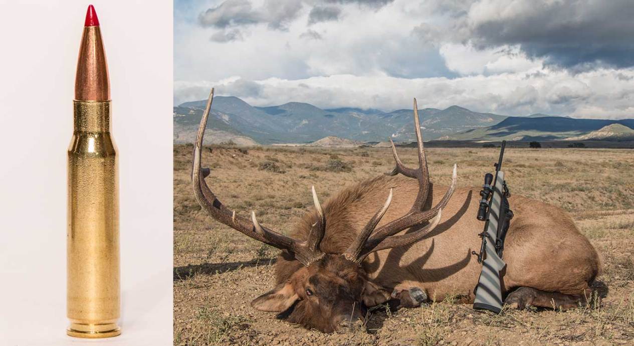 The Top 10 Essential Cartridges for the American Shooter