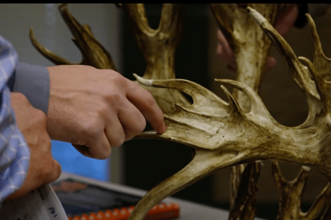 Giant Buck Slated to Become New No. 1 in Ontario Record Book | Outdoor Life