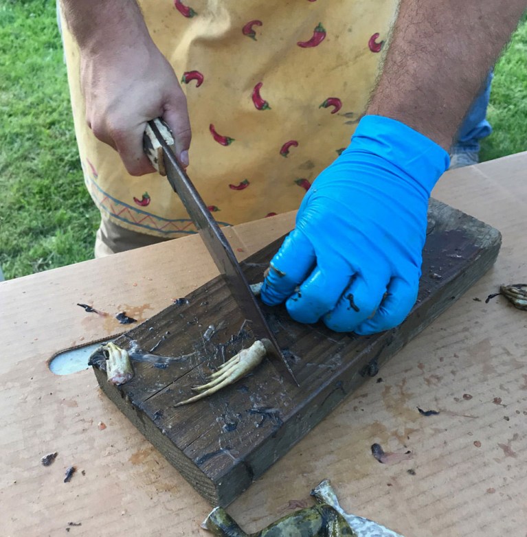 A Beginner’s Guide to Gigging Frogs