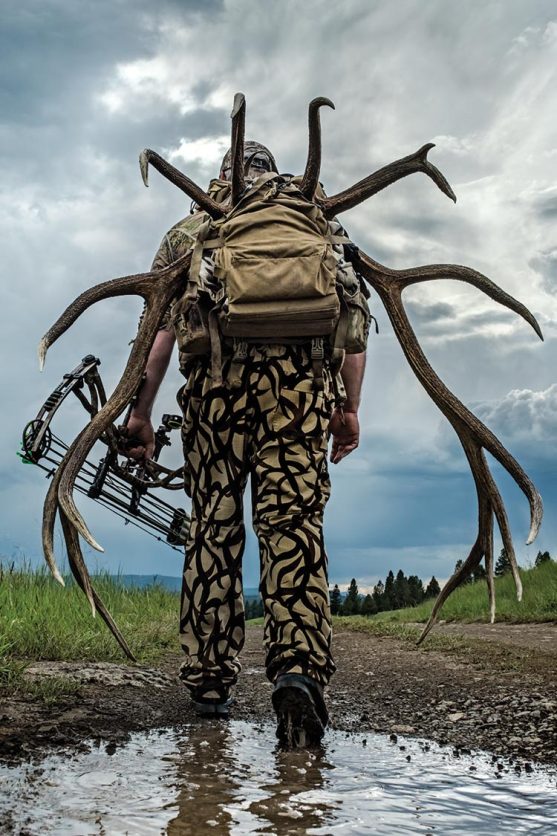 The New World-Record Archery Elk