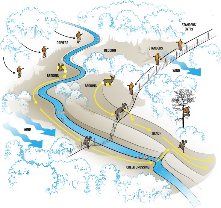 Deer Hunting Tips for Opening Day