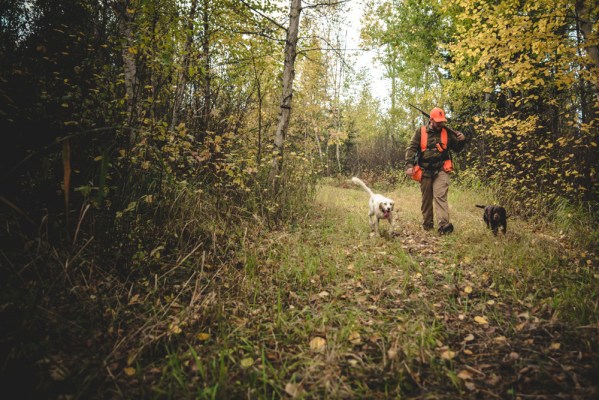 10 Next-Level Ruffed Grouse Hunting Tips