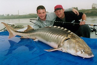 World Record Fish